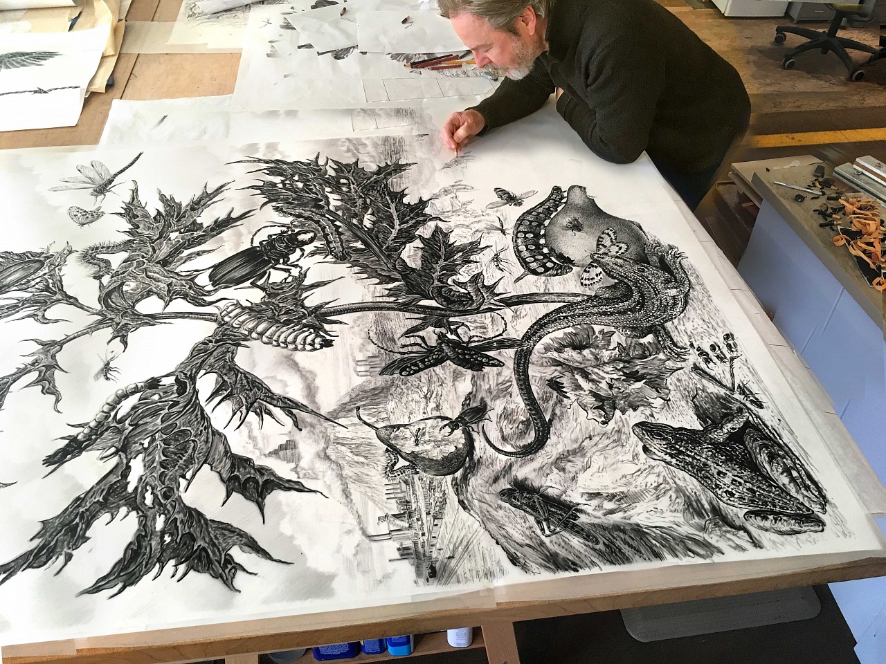 Rick Shaefer | Yak | 2017 | Sears Peyton Gallery