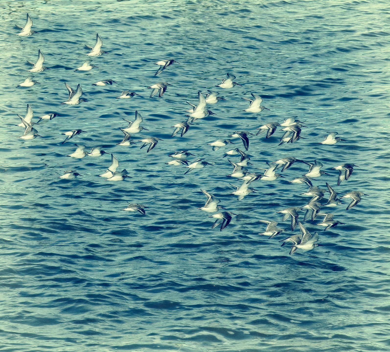 Thomas Hager | Works | Sears Peyton Gallery