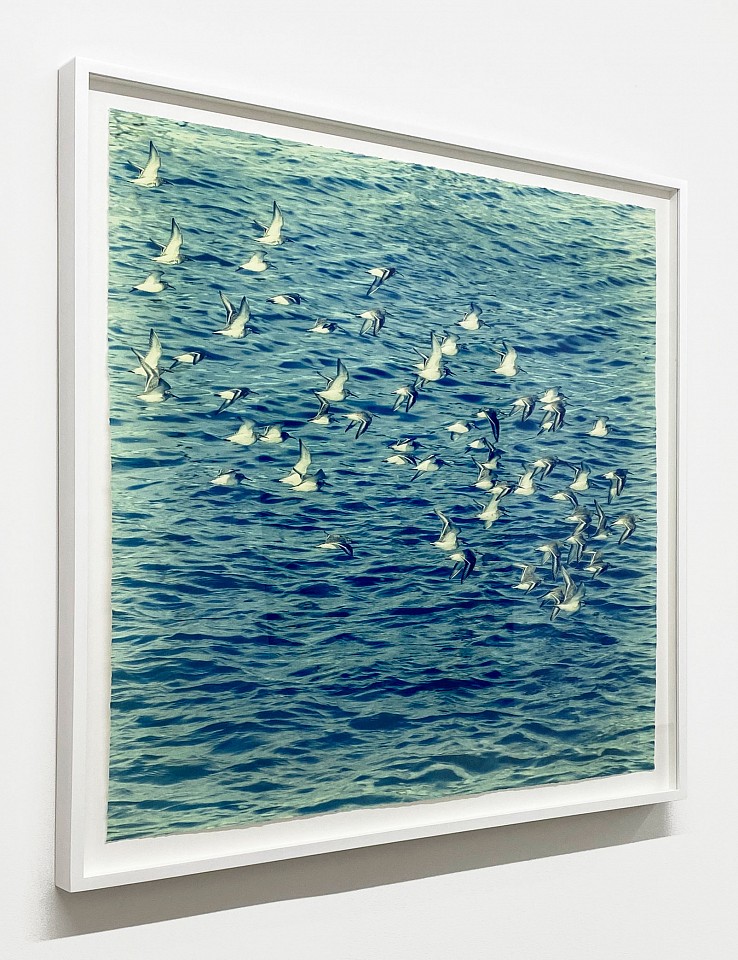 Thomas Hager | Works | Sears Peyton Gallery